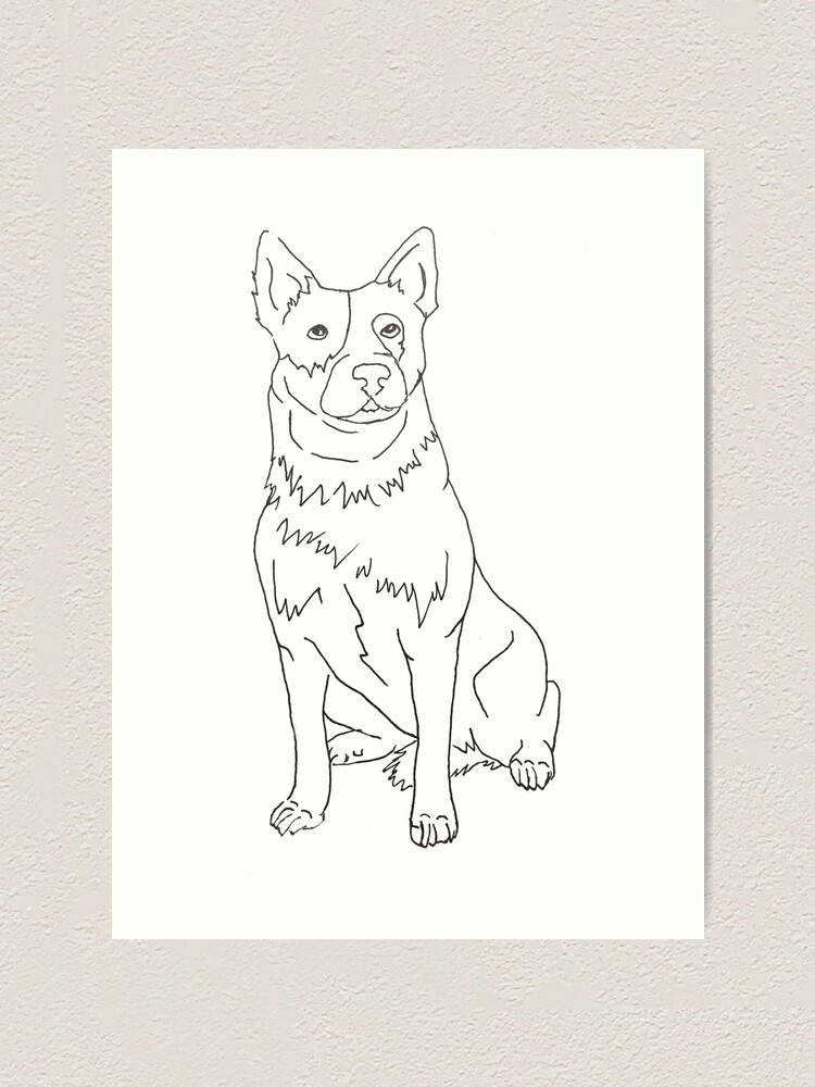 "Australian Kelpie" Art Print for Sale by BlueKirk | Redbubble