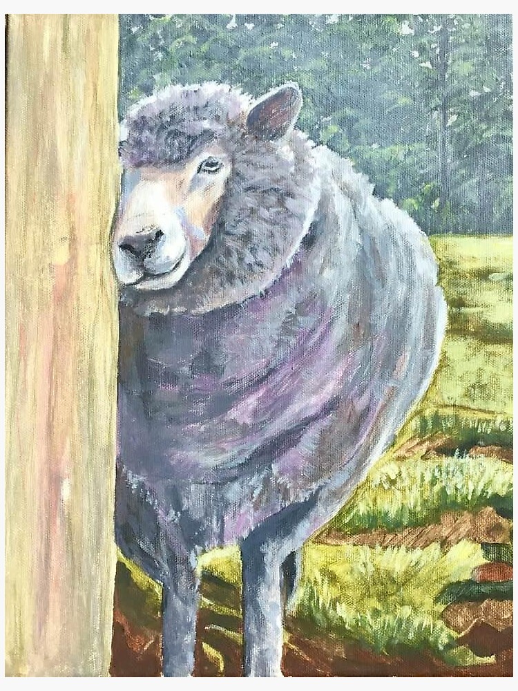 "Shy Sheep" Sticker for Sale by Jane Evans | Redbubble