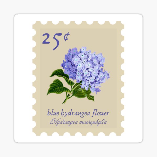 "Blue hydrangea flower vintage stamp" Sticker for Sale by Jasmine Sixel ...