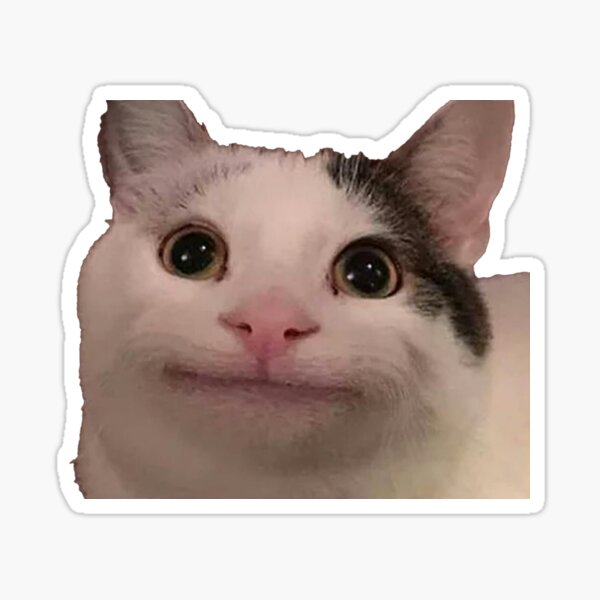 Polite Smile Memes