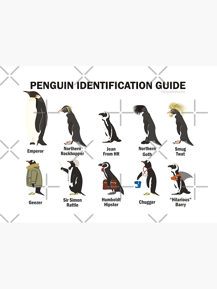 "Penguin Identification Guide" Art Print for Sale by HopelessSurfer ...