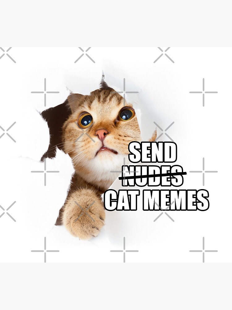 "Sent Cat Memes" Sticker for Sale by ThisOnAShirt | Redbubble