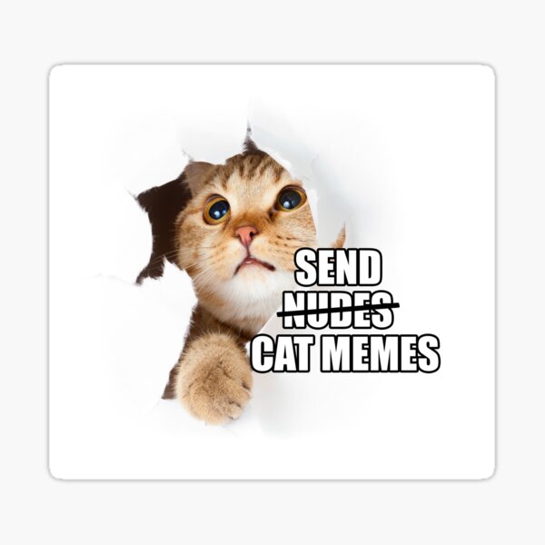 "Sent Cat Memes" Sticker for Sale by ThisOnAShirt | Redbubble