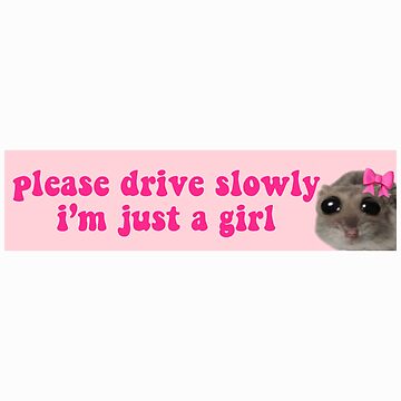 "Cute funny aesthetic bumper sticker for girls" Sticker for Sale by ...