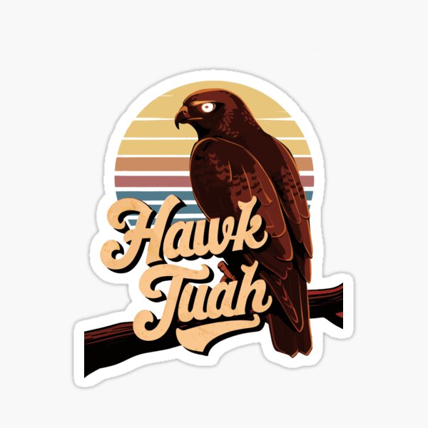 "Hawk Tuah Retro Sunset - Hawk tuah girl - Spit on that thang" Sticker ...
