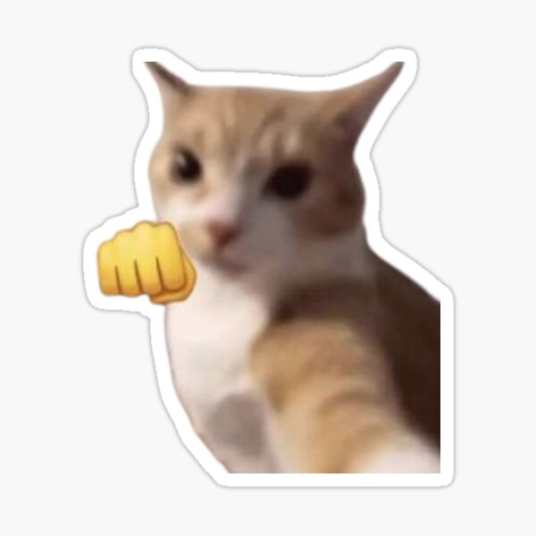 Yellow Cat Memes 20 Wholesome Cat Memes For Your Tuesday Morning Needs