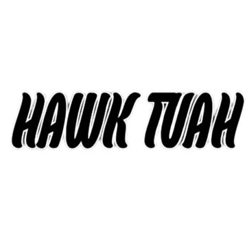 "Hawk Tuah" Sticker for Sale by WittyWhispers | Redbubble