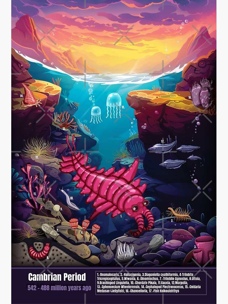 "Cambrian period animals" Poster for Sale by TimeLineArtist | Redbubble