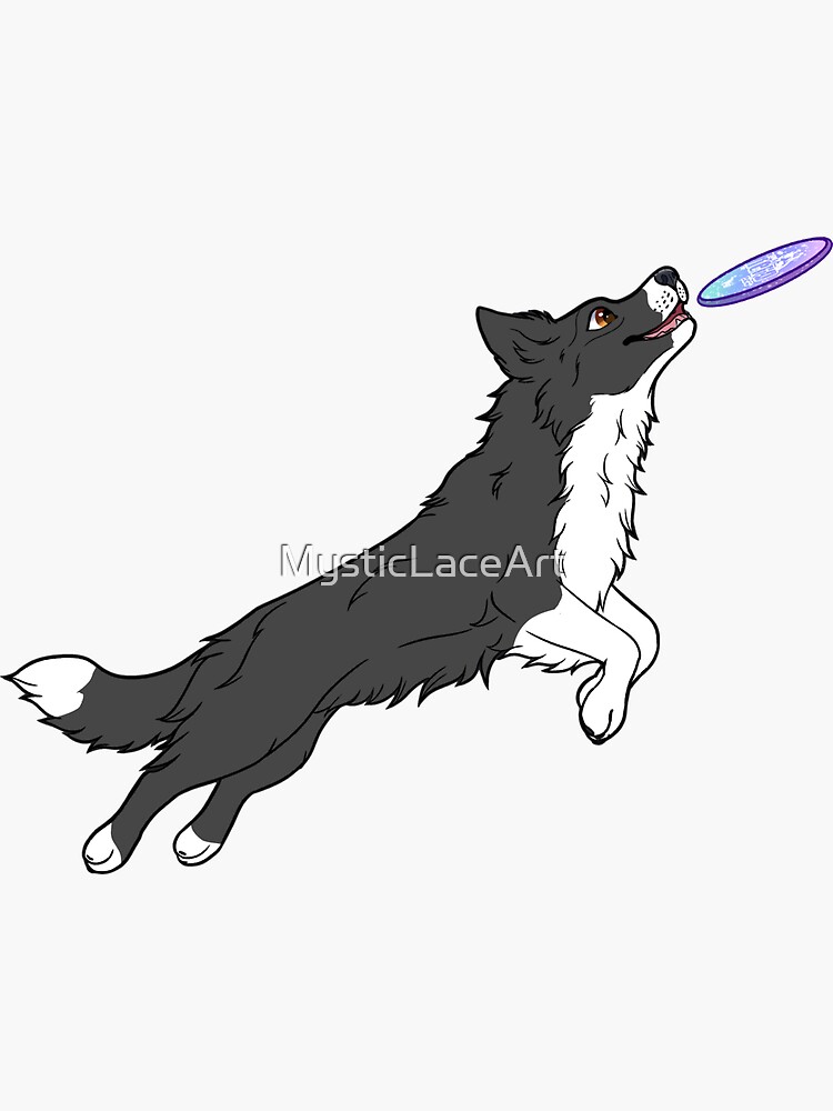 "Black and White Border Collie Catching Disc" Sticker for Sale by ...