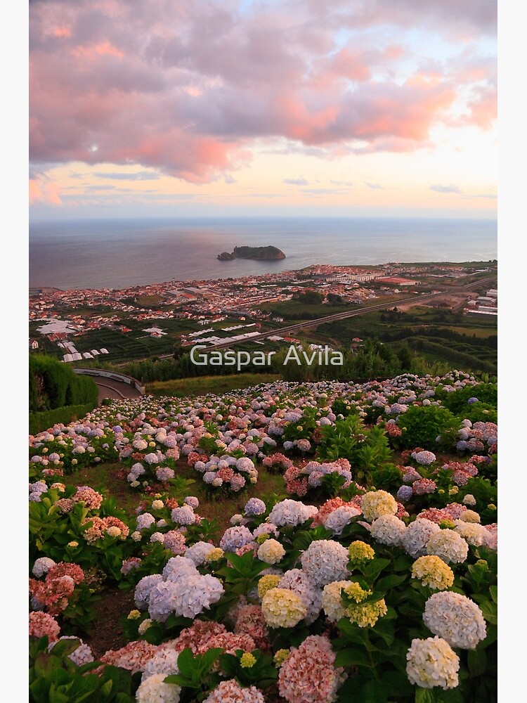 "Azorean town at sunset" Canvas Print for Sale by gavila | Redbubble