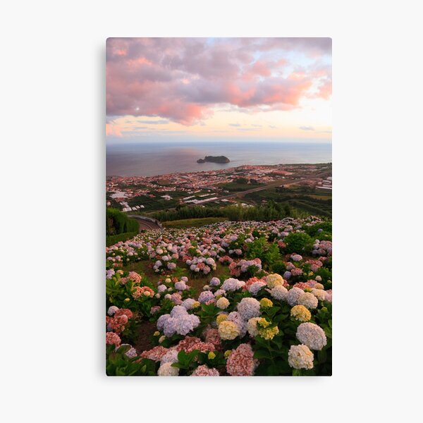 "Azorean town at sunset" Canvas Print for Sale by gavila | Redbubble