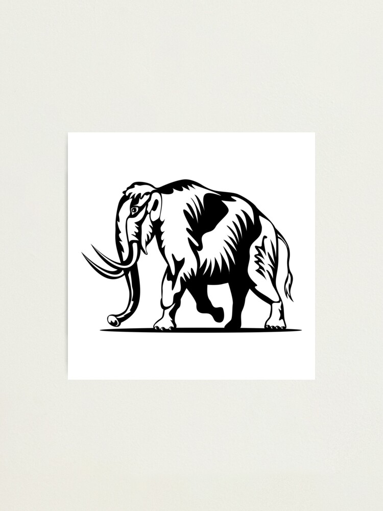 "Woolly Mammoth Side View Woodcut" Photographic Print for Sale by ...