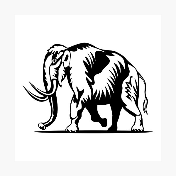 "Woolly Mammoth Side View Woodcut" Photographic Print for Sale by ...