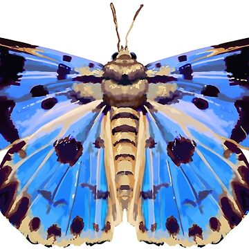 "Dysphania percota (Blue Tiger Moth)" Sticker for Sale by Alan Smith ...