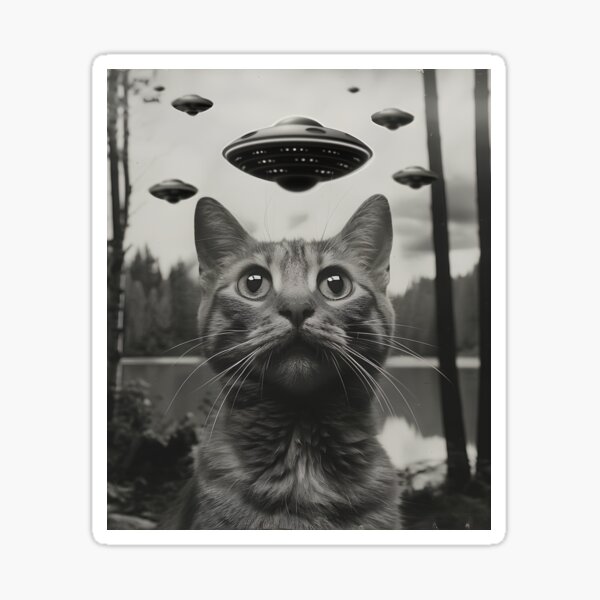 "Feline Cosmic Observer" Sticker for Sale by Viviglow | Redbubble