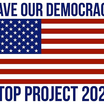 "Save our democracy " Sticker for Sale by RACHELDF | Redbubble