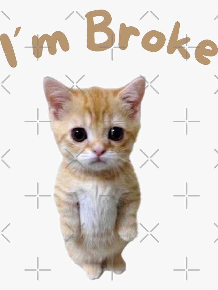 Cat Meme Broke Broken Brain Cat Meme Generator Imgflip