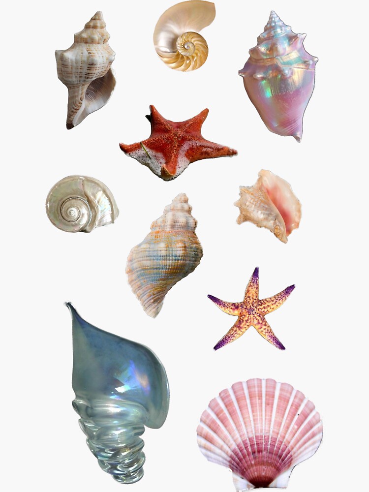 "mermaid inspired sticker set" Sticker for Sale by fromtheforests ...