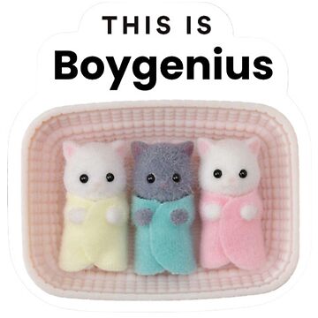 "this is boygenius" Sticker for Sale by HoppyStickers | Redbubble