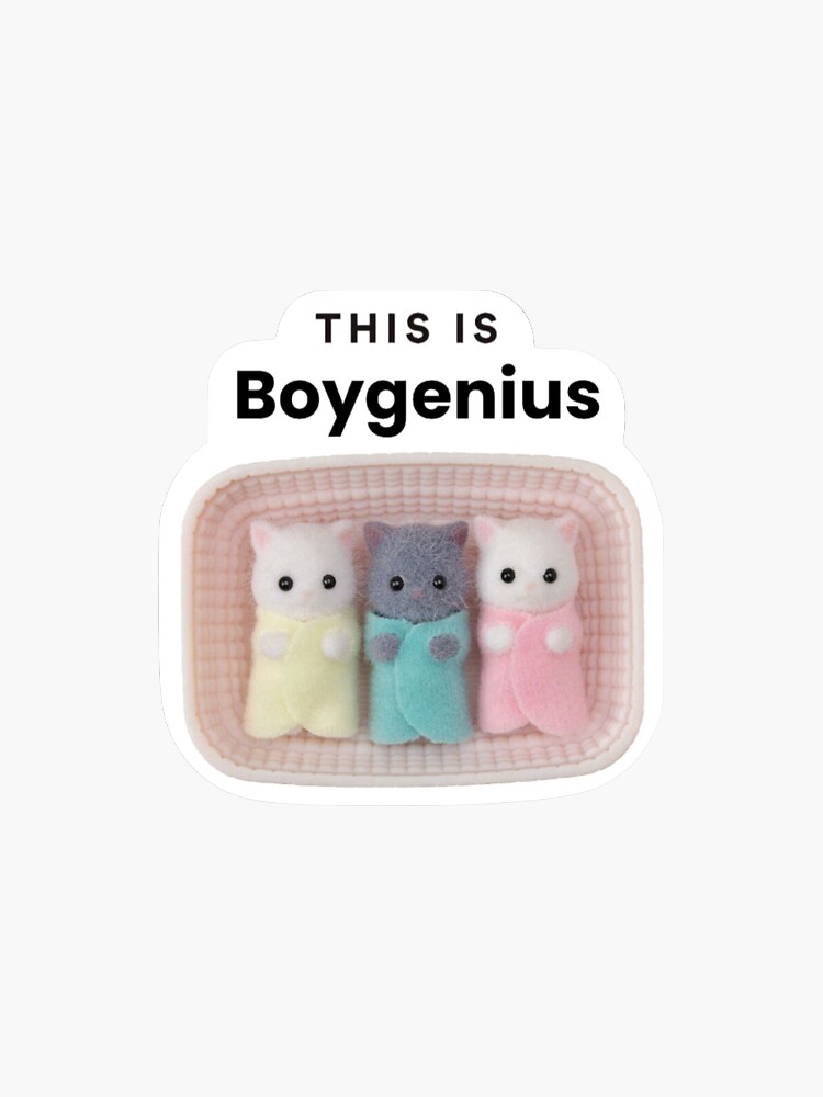 "this is boygenius" Sticker for Sale by HoppyStickers | Redbubble