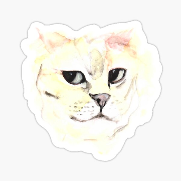 "Annoyed cat meme watercolour painting" Sticker for Sale by ...