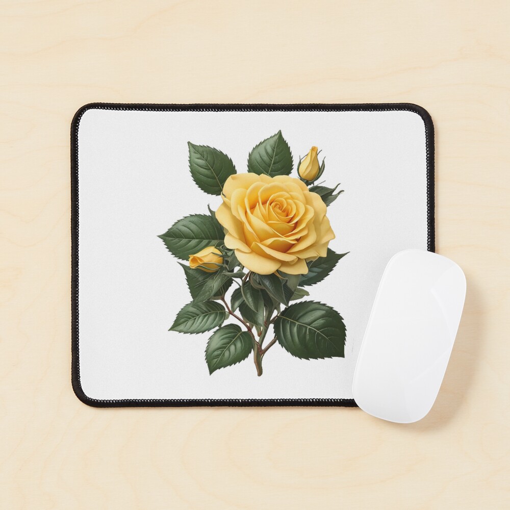 "Yellow rose Sticker, Beautiful rose in summer garden, Beautiful Yellow ...