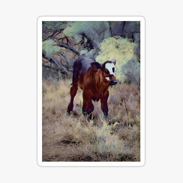 "Zombie Goth Baby Cow" Sticker for Sale by Bobthebug | Redbubble