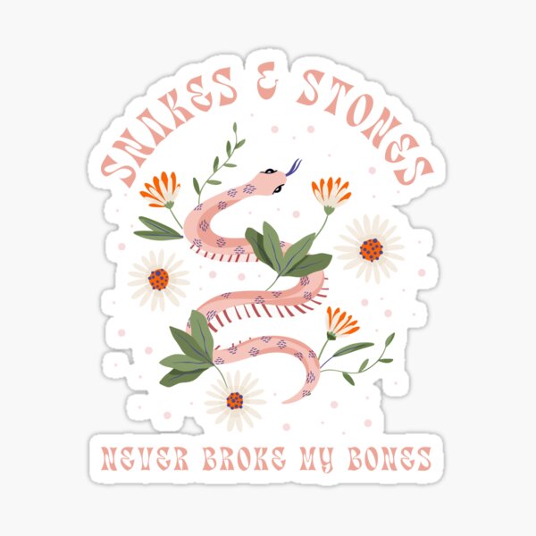 "Taylor Swift YNTCD Snakes & Stones Print" Sticker for Sale by jackhank ...