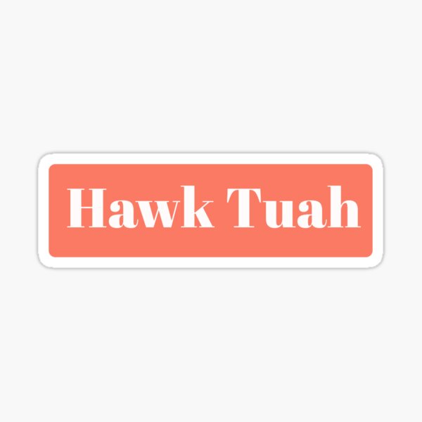 "Hawk Tuah" Sticker for Sale by Slow-snail9 | Redbubble