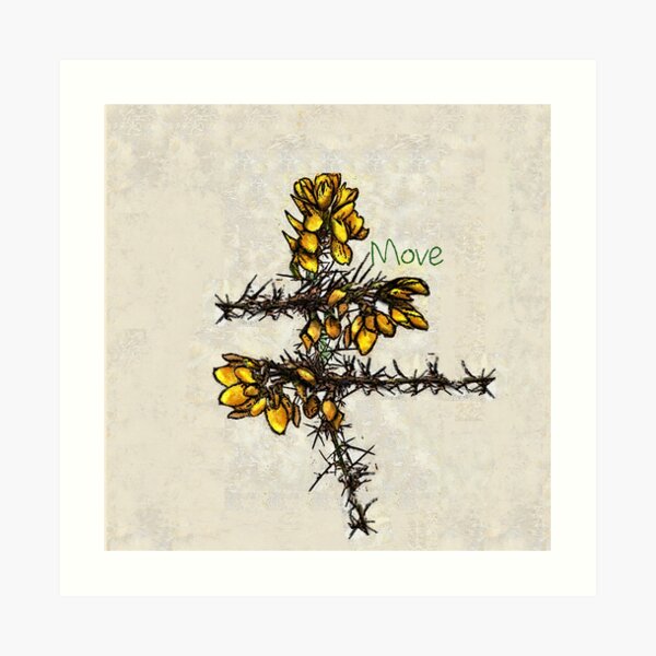 "Gorse, Tree Of Movement" Art Print by dratsie | Redbubble