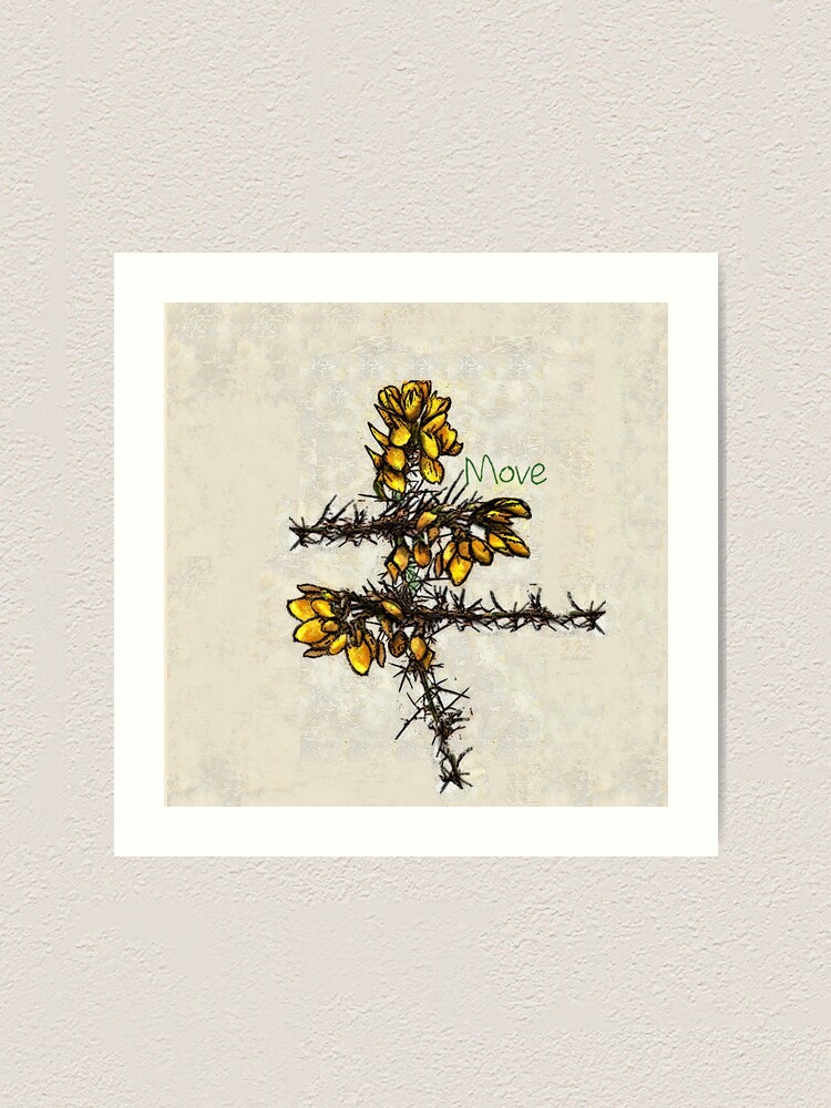 "Gorse, Tree Of Movement" Art Print by dratsie | Redbubble
