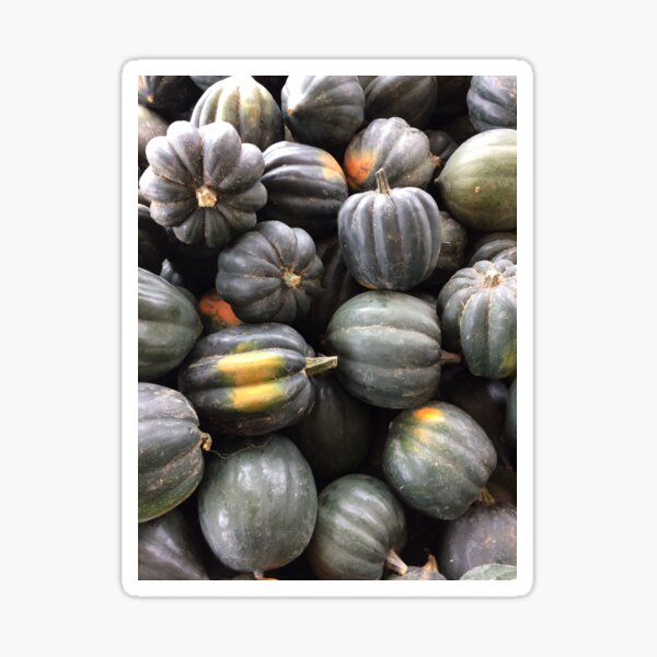 "Squash" Sticker by smtrbubble | Redbubble