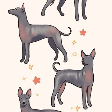 "xoloitzcuintli dogs" Sticker for Sale by Artofmayara | Redbubble