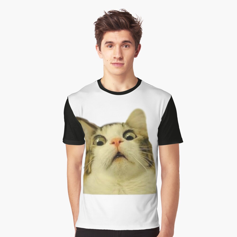 "Scared cat meme" Sticker for Sale by sno0dle | Redbubble