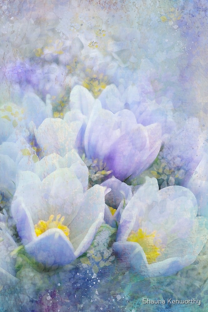 "Prairie Crocus Digital Watercolor" by Shauna Kenworthy | Redbubble
