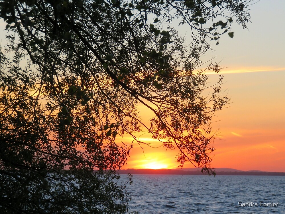 "Go Softly Into the Night" by Sandra Fortier | Redbubble