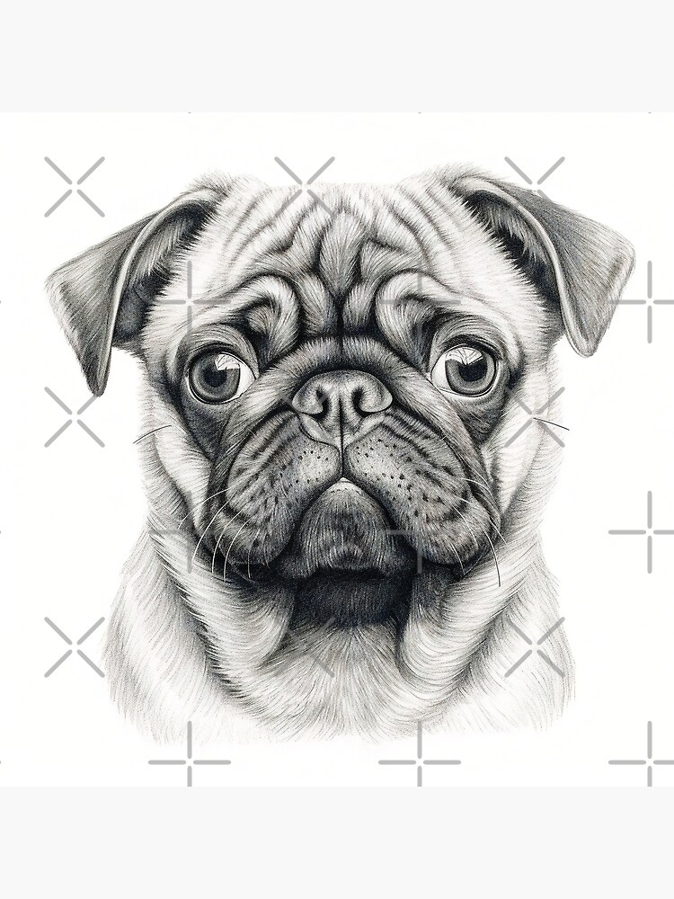 "Pug pencil drawing" Poster for Sale by Pencil-Art | Redbubble