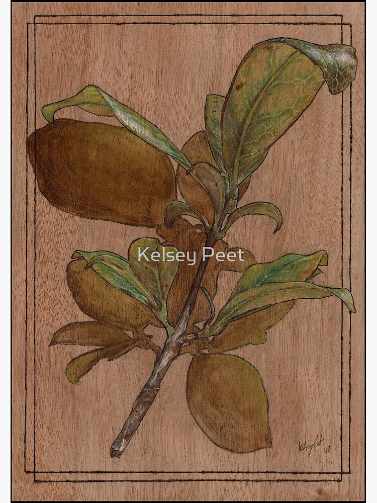 "Leafy" Poster for Sale by kelseypeet | Redbubble