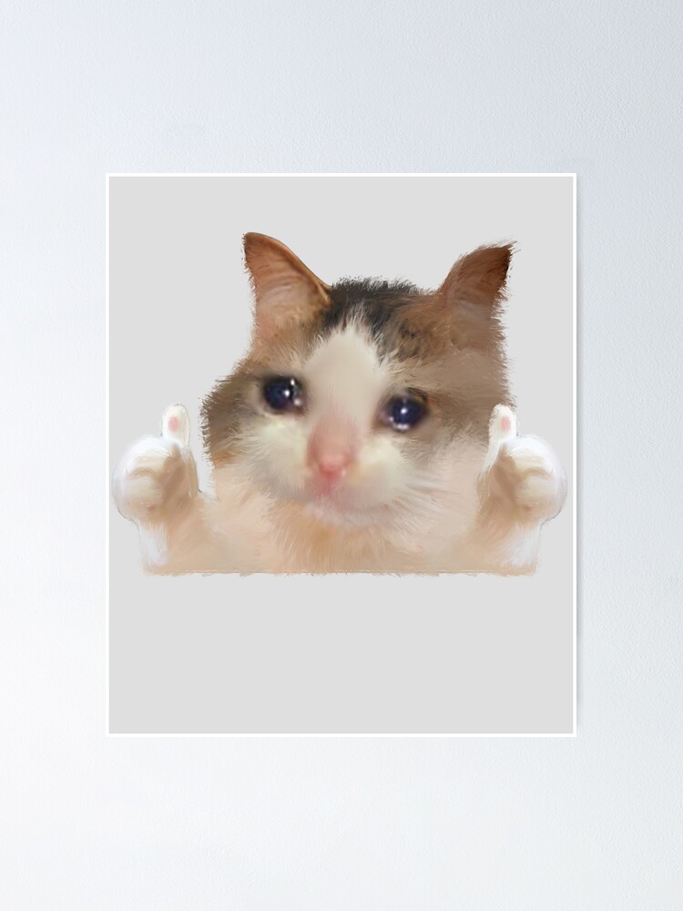 Kitty Eyes Memes Photo Of A Light Blue Cat With A White Muzzle And