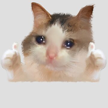 "Crying Cat Thumbs Up Meme with Two Hands Raised Sad Kitty Cry Eyes ...