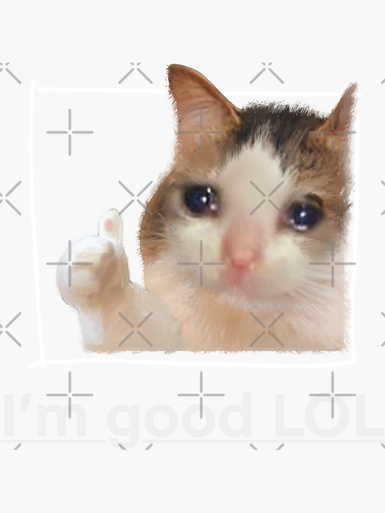 Pegatina for Sale con la obra «Estoy bien LOL Gato llorando Pulgar ...