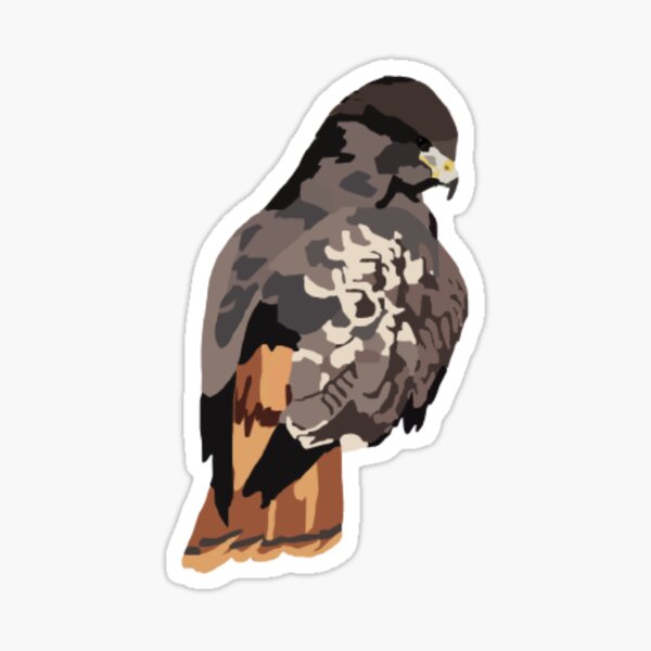 "Red-tailed Hawk" Sticker for Sale by Birds-EyeView | Redbubble
