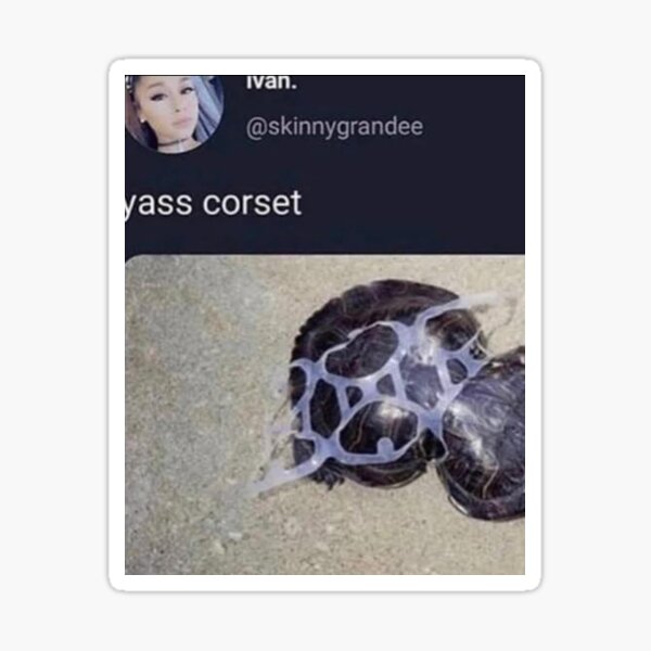 "Yass Corset" Sticker for Sale by Benzandbeamer | Redbubble