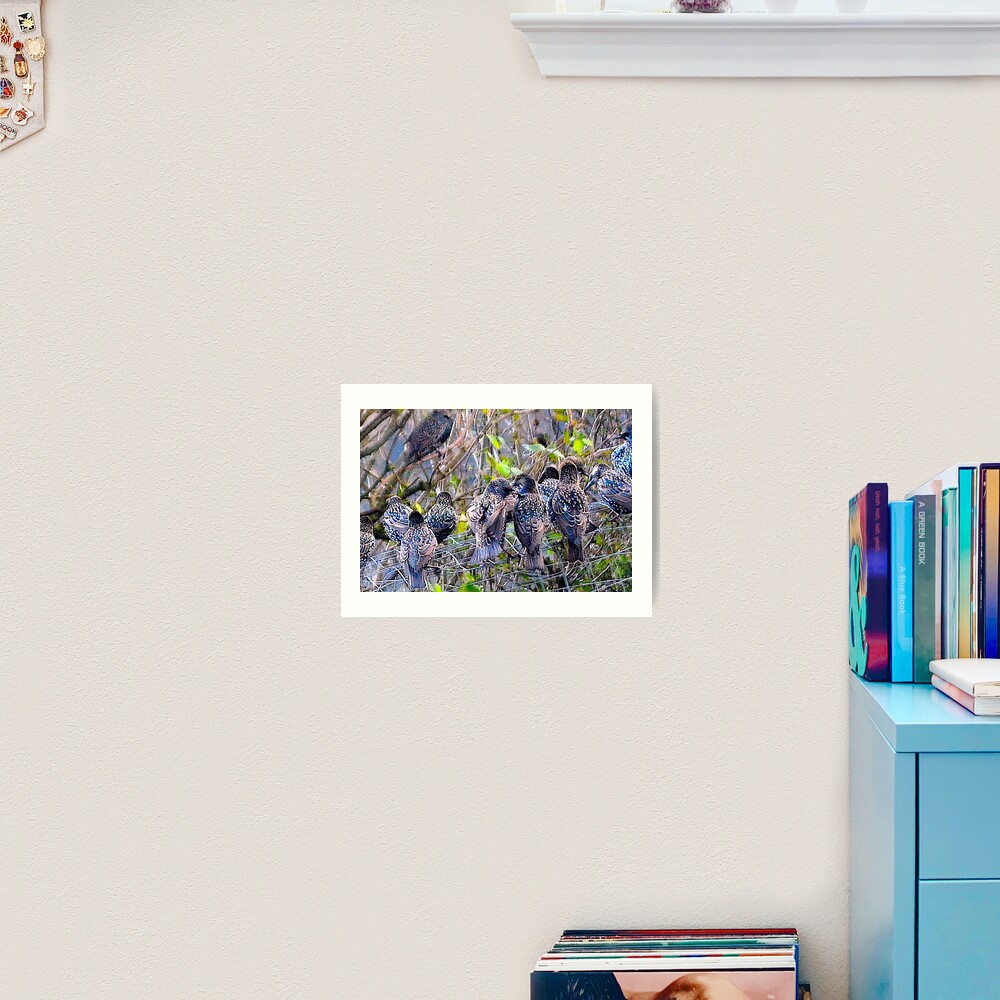 "Small murmuration of starlings" Art Print for Sale by keithmilligan ...