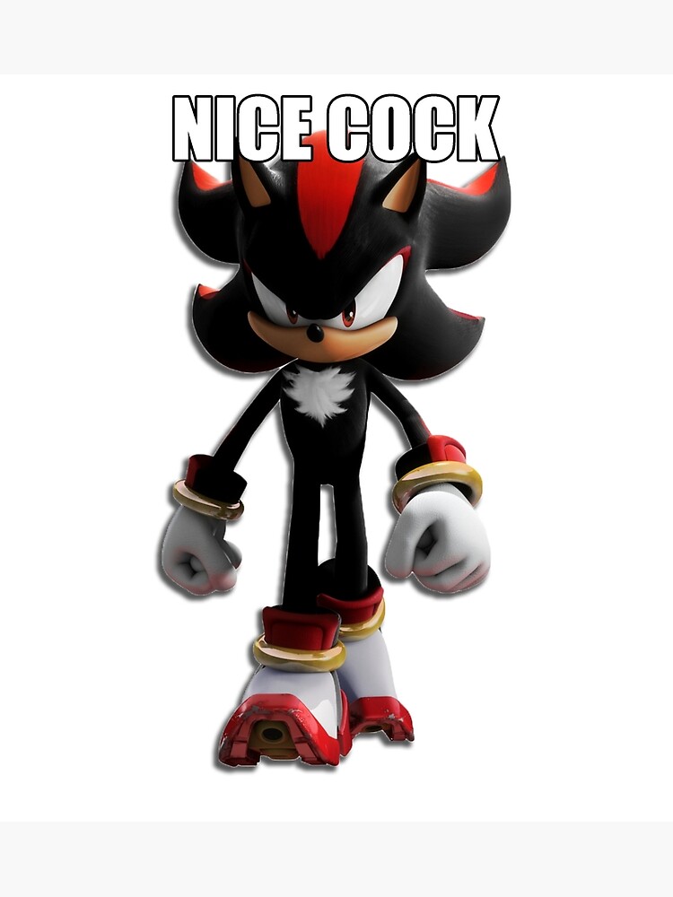 "Shadow the Hedgehog Nice Cock" Poster for Sale by SeanyShirts | Redbubble