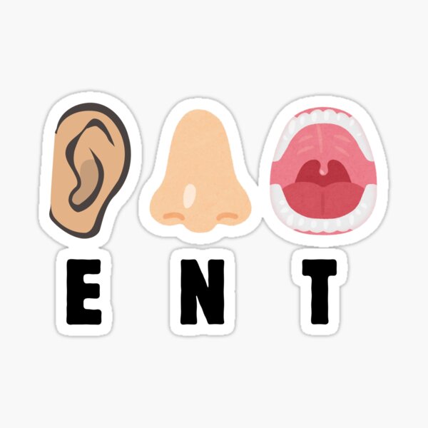 "ENT" Sticker for Sale by SydStot | Redbubble