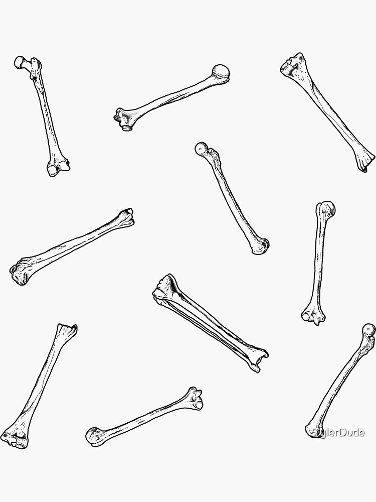"Bones" Sticker by TylerDude | Redbubble