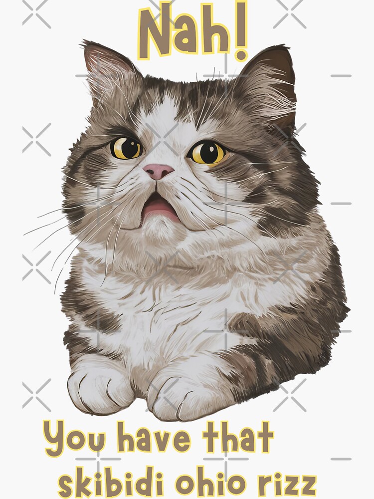"You have that skibidi ohio rizz cat meme funny brainrot" Sticker for ...