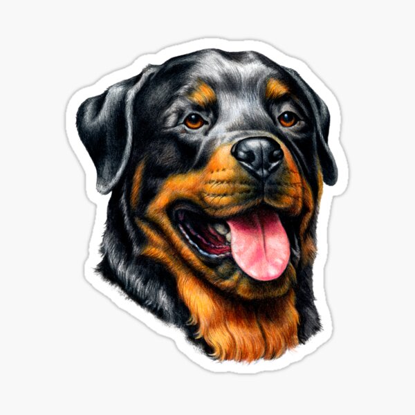 "Rottweiler Full Face Portrait" Sticker for Sale by fantasticdesign ...