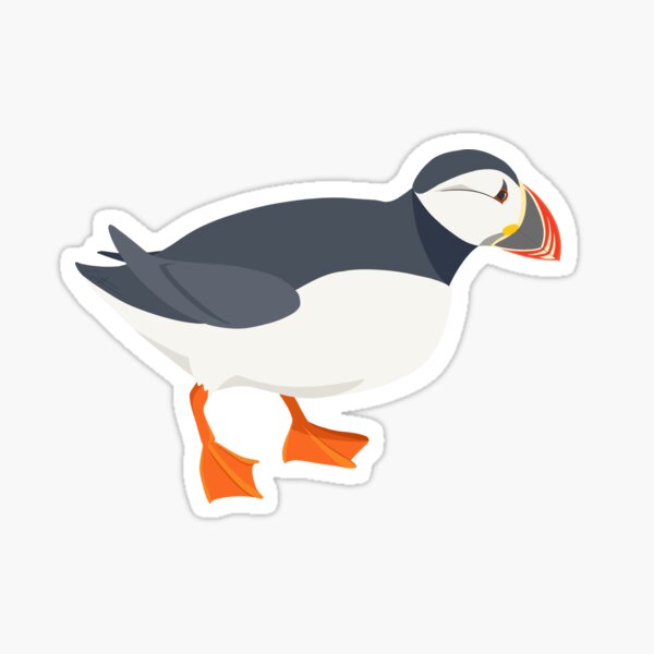 "Curious Puffin" Sticker for Sale by Geneva-Jostle | Redbubble